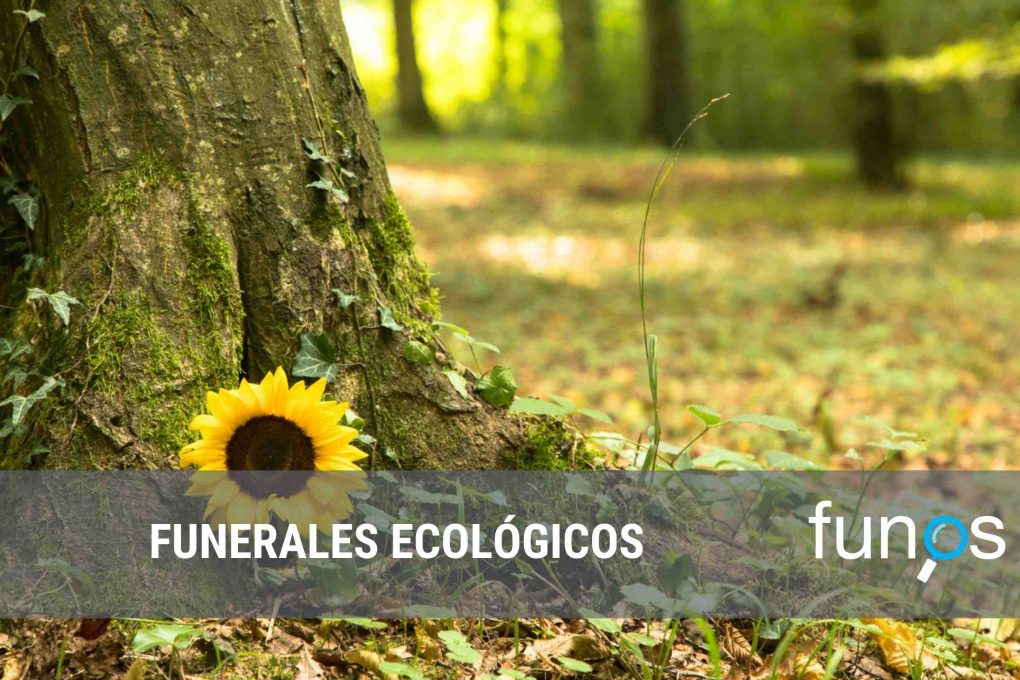 ¿Qué son los funerales ecológicos? - Funos - Comparador de Funerarias
